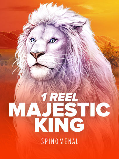 Best Africa Themed Slots Online - Play Games at Stake Casino